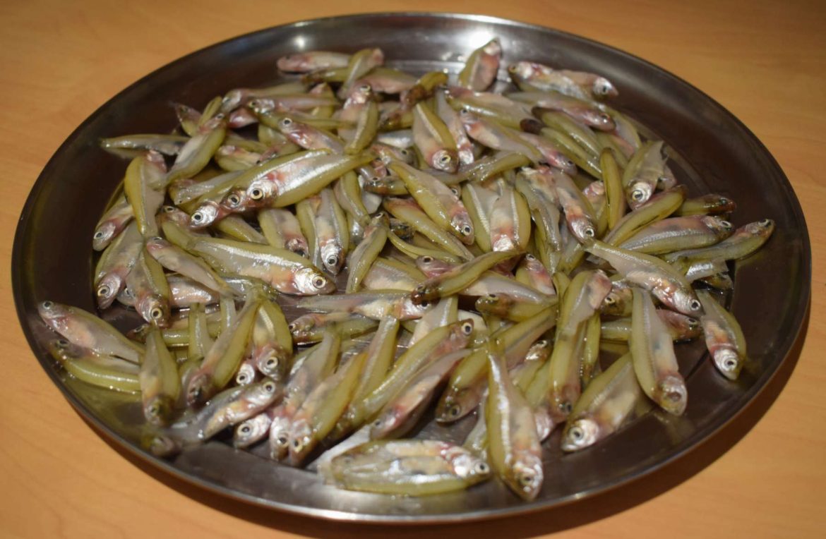 Mourala macher jhal | Mourala macher recipe | Bengali Recipe of Small ...