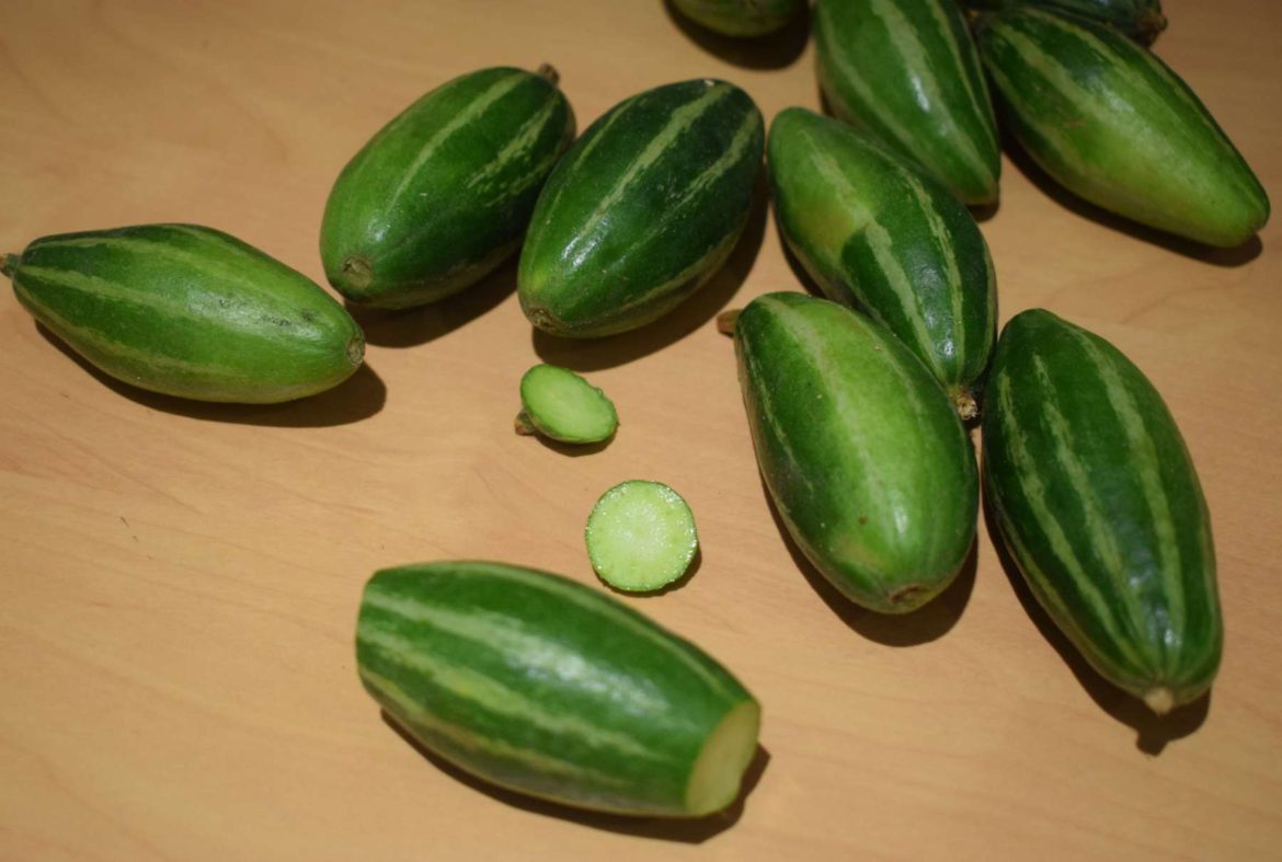 Potol posto | Potol posto Bengali recipe | How to make potol posto ...