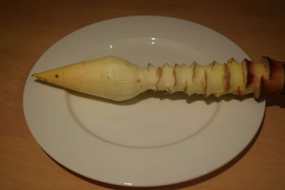 Mochar chop | Niramish mochar chop | Banana flower croquettes | How to ...