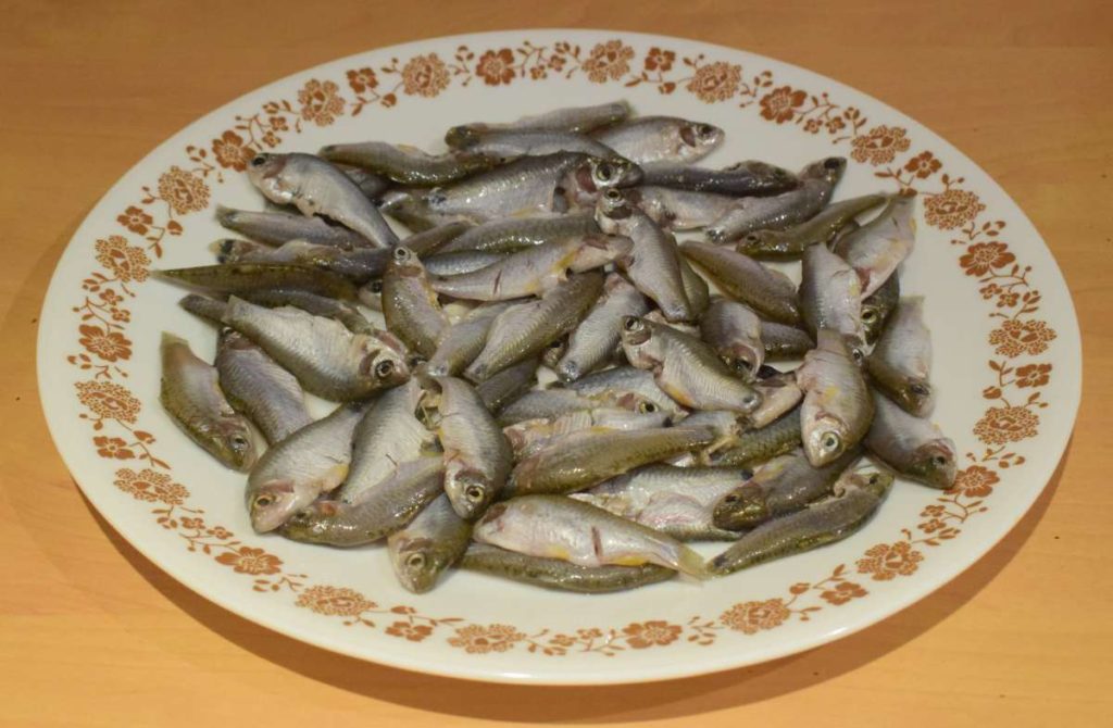 Puti macher jhal | Puti macher recipe |Puti macher recipe Bengali ...