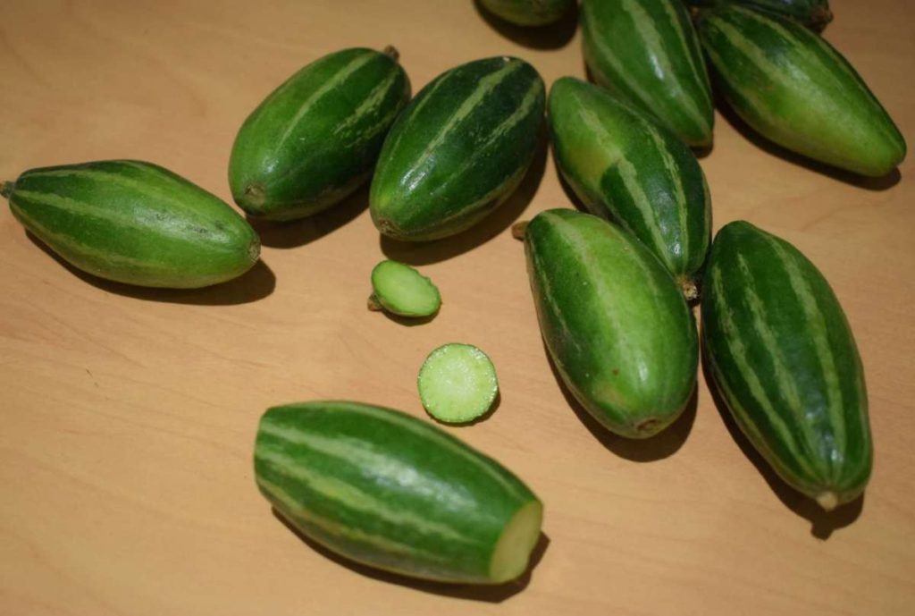 Doodh potol recipe | Dudh potol - Rumki's Golden Spoon