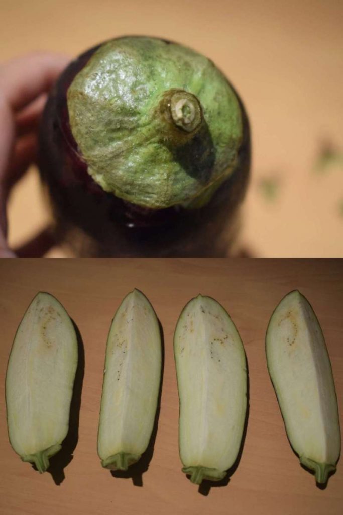 Begun posto | Bengali brinjal recipe | Posto recipe Bengali - Rumki's ...