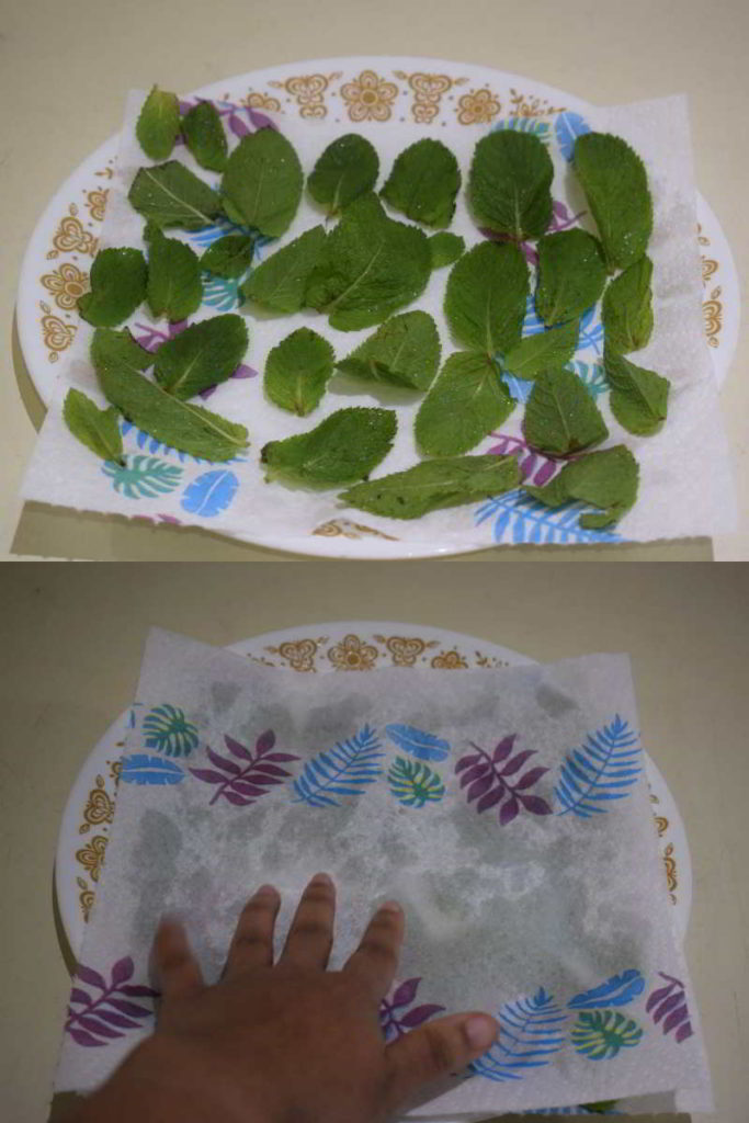 Mint leaves powder | Pudina powder recipe | How to make dry pudina ...