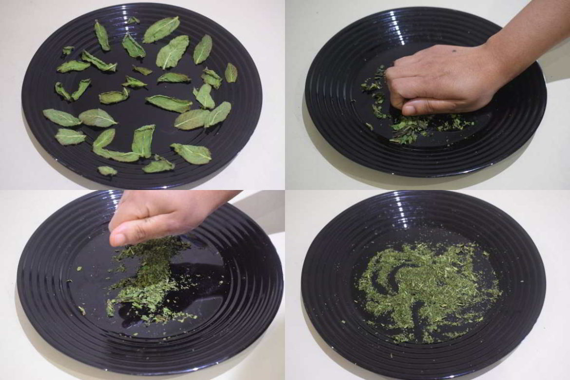 Mint leaves powder | Pudina powder recipe | How to make dry pudina ...